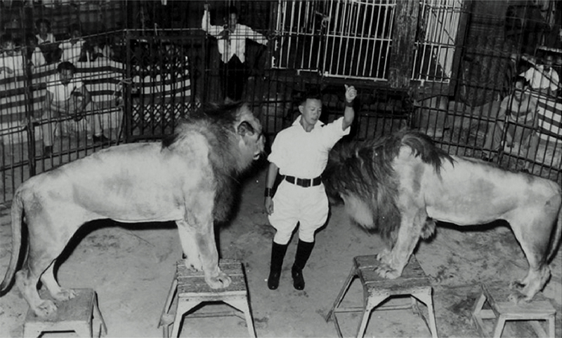 The Circus Comes to Town