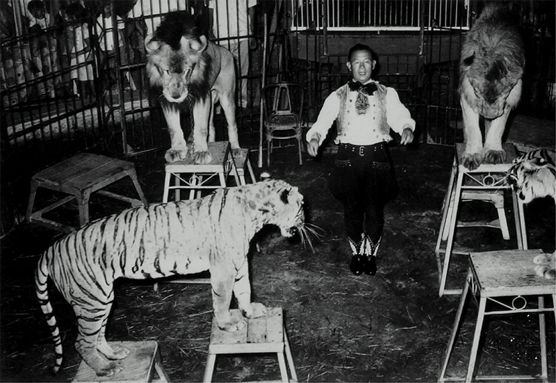 The Circus Comes to Town