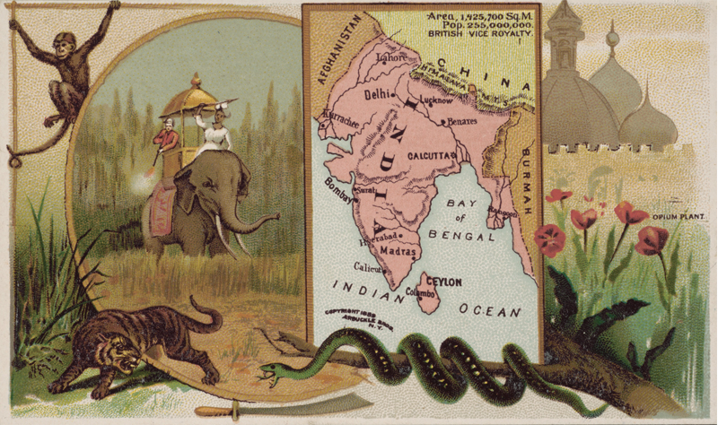 Chasing the Dragon: The Scourge of Opium